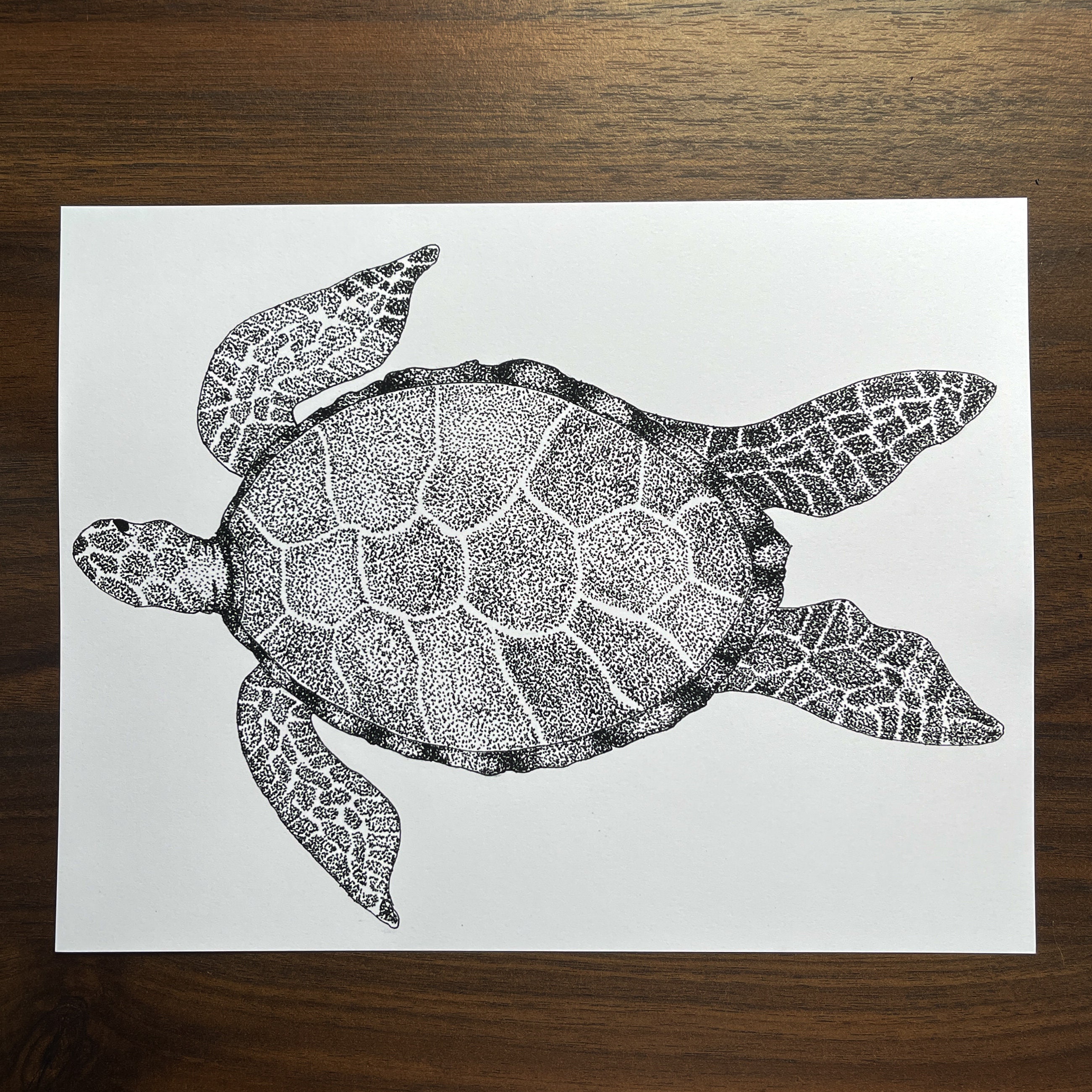 Pointillism Turtle Ink Drawing Print Black and White - Etsy