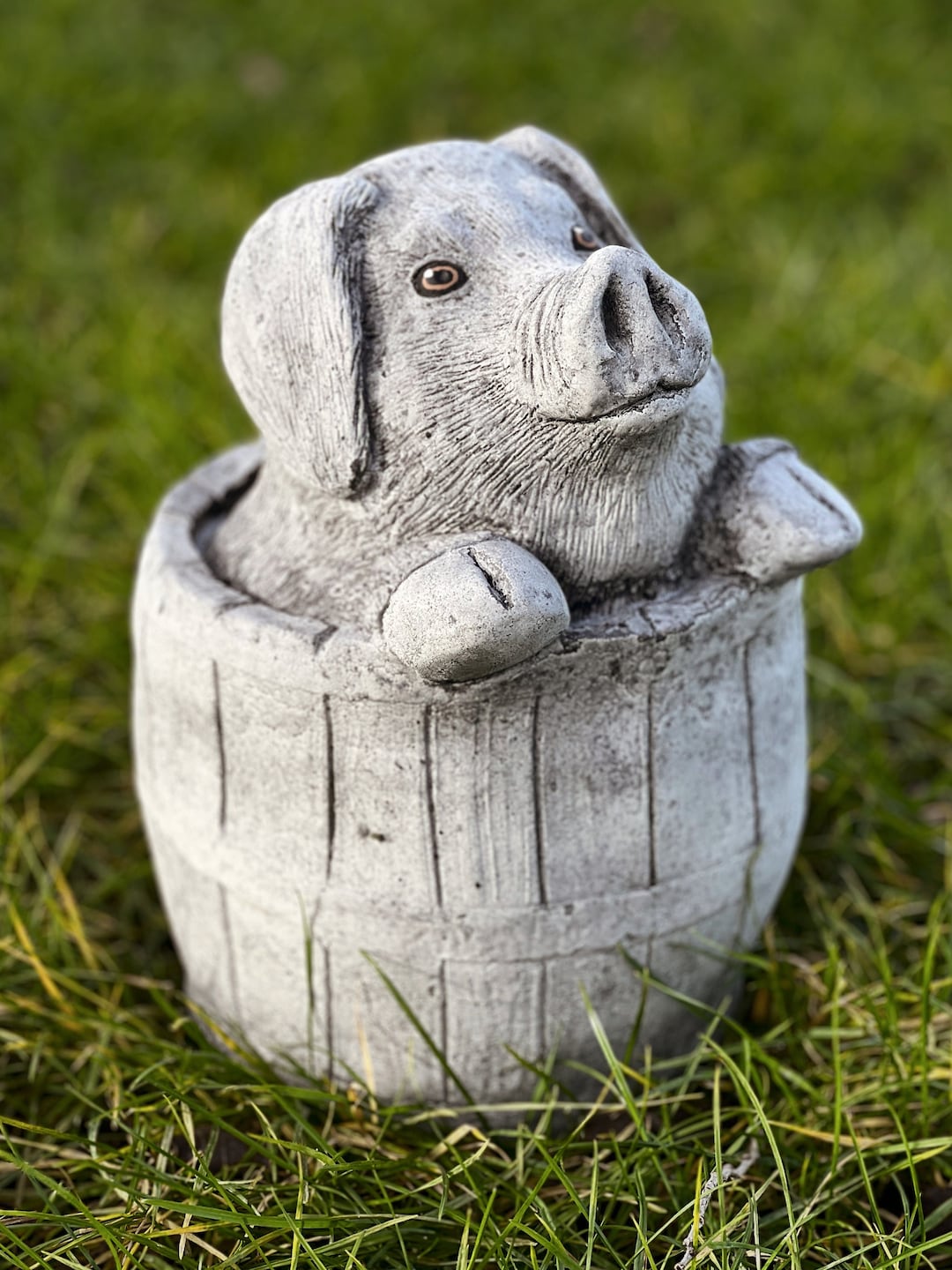 Cement Pig in a Bucket Figure Concrete Piglet Statue Stone - Etsy