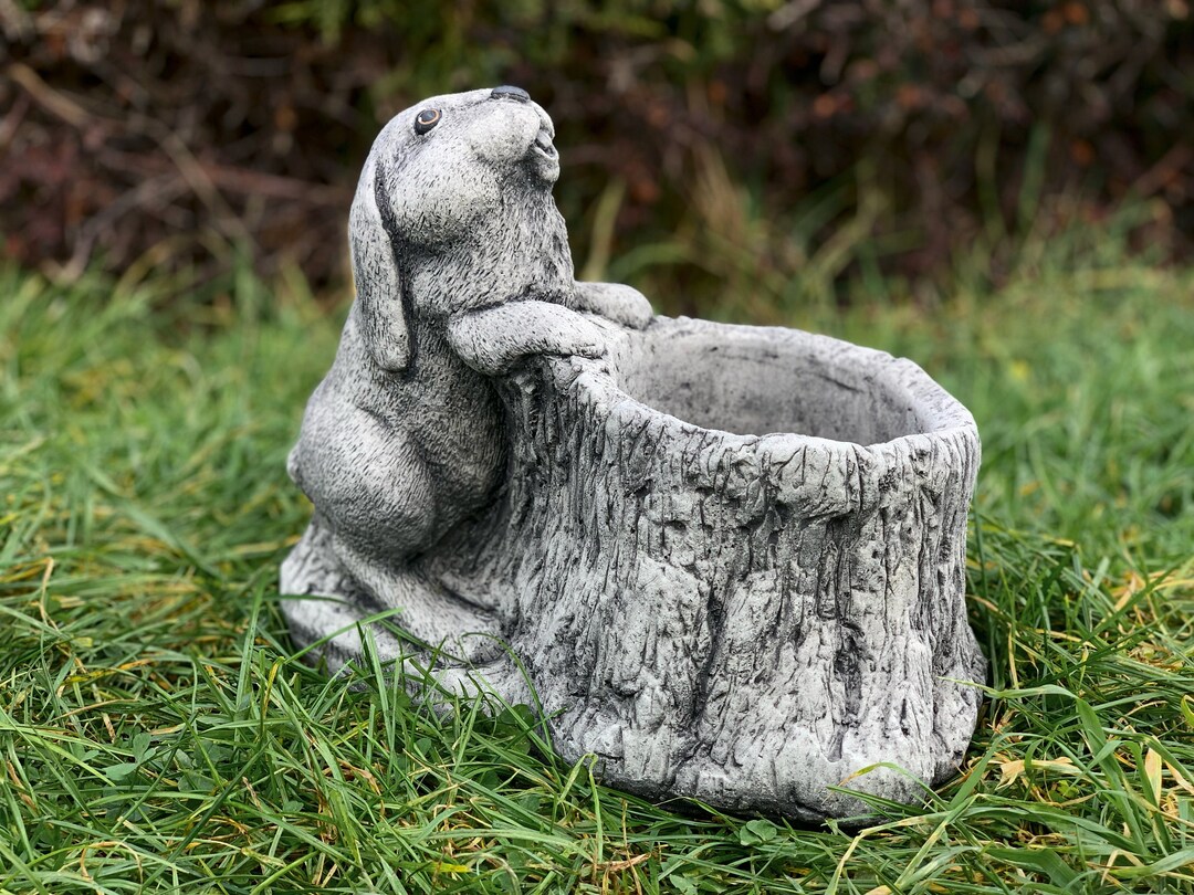 Rabbit With a Plant Pot Stone Planter for Home and Garden Concrete ...