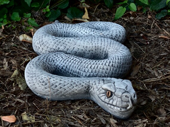 Hoop Snakes And Drop Bears