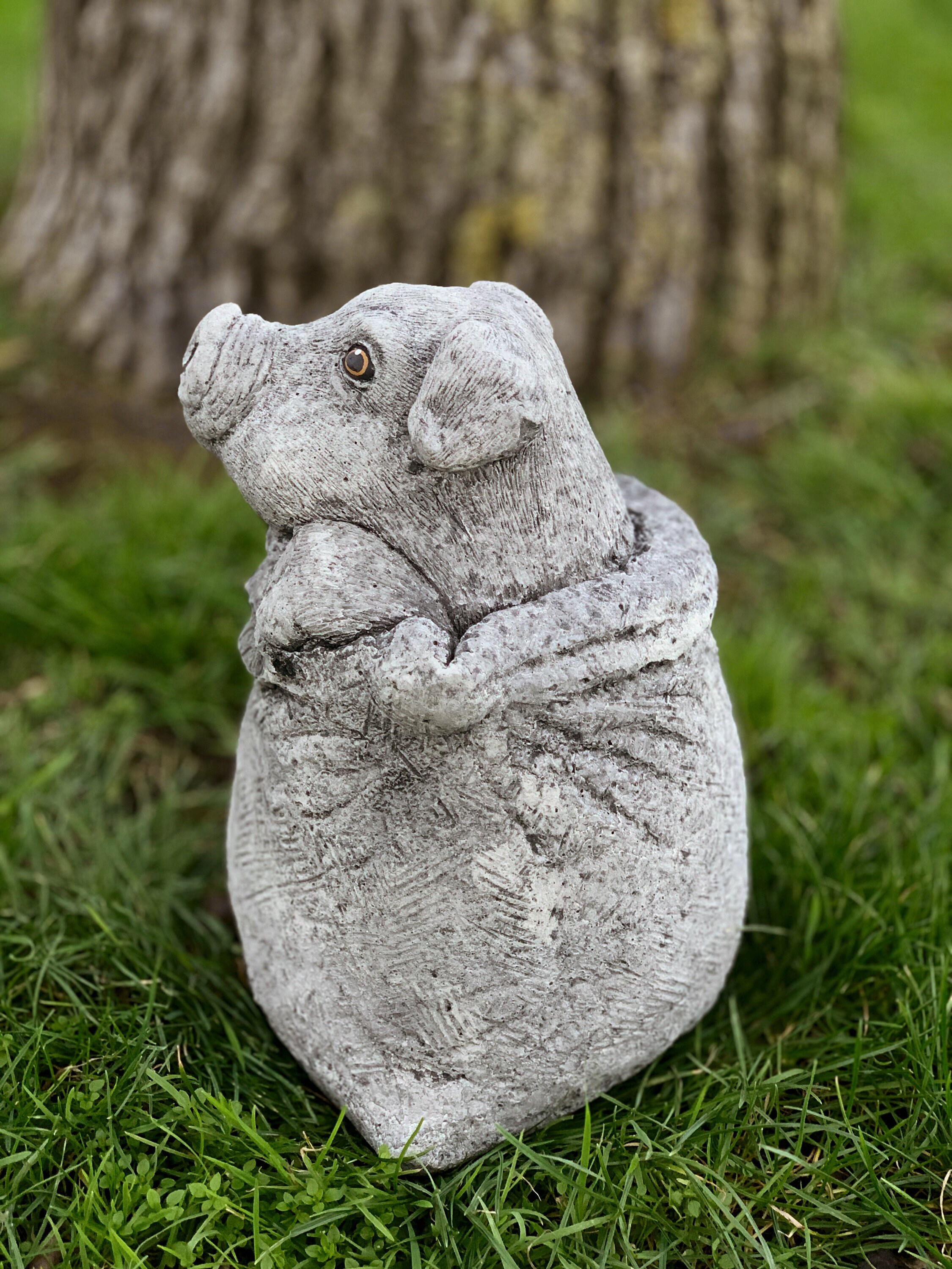 Concrete Pig Figurine Stone Farmhouse Sculpture Garden Cement - Etsy