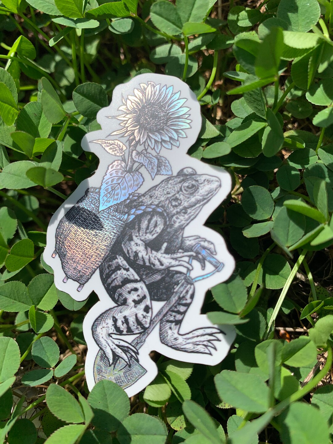 Graden Froggy Holographic Mat Vinyl Sticker - Etsy