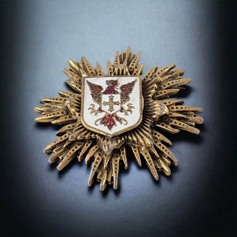 Vintage Enamel Heraldic Shield Sunburst Gold Tone Brooch, Mid-century ...