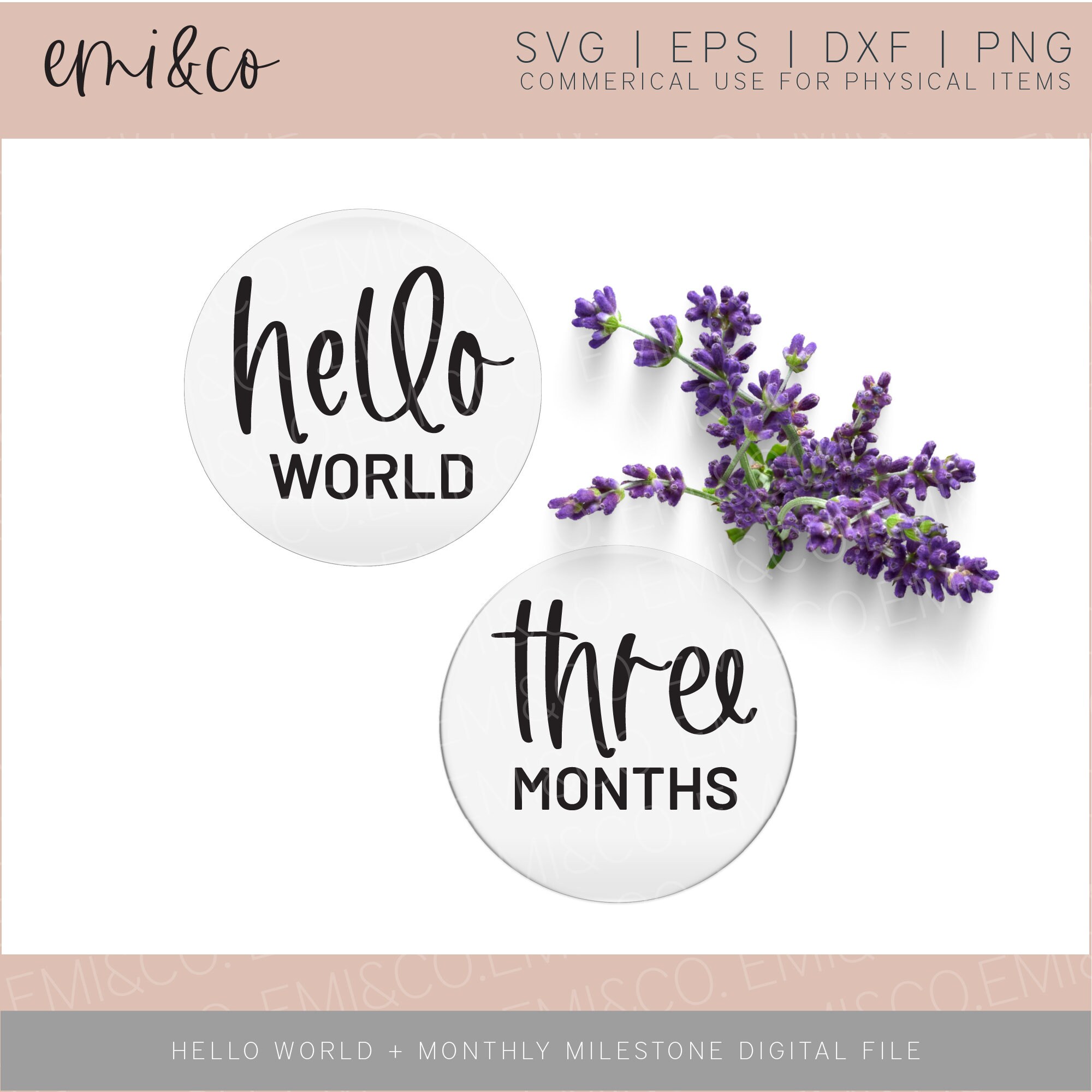 Baby Milestone SVG, Acrylic Round, Monthly Milestone SVG, Cricut, Hello ...