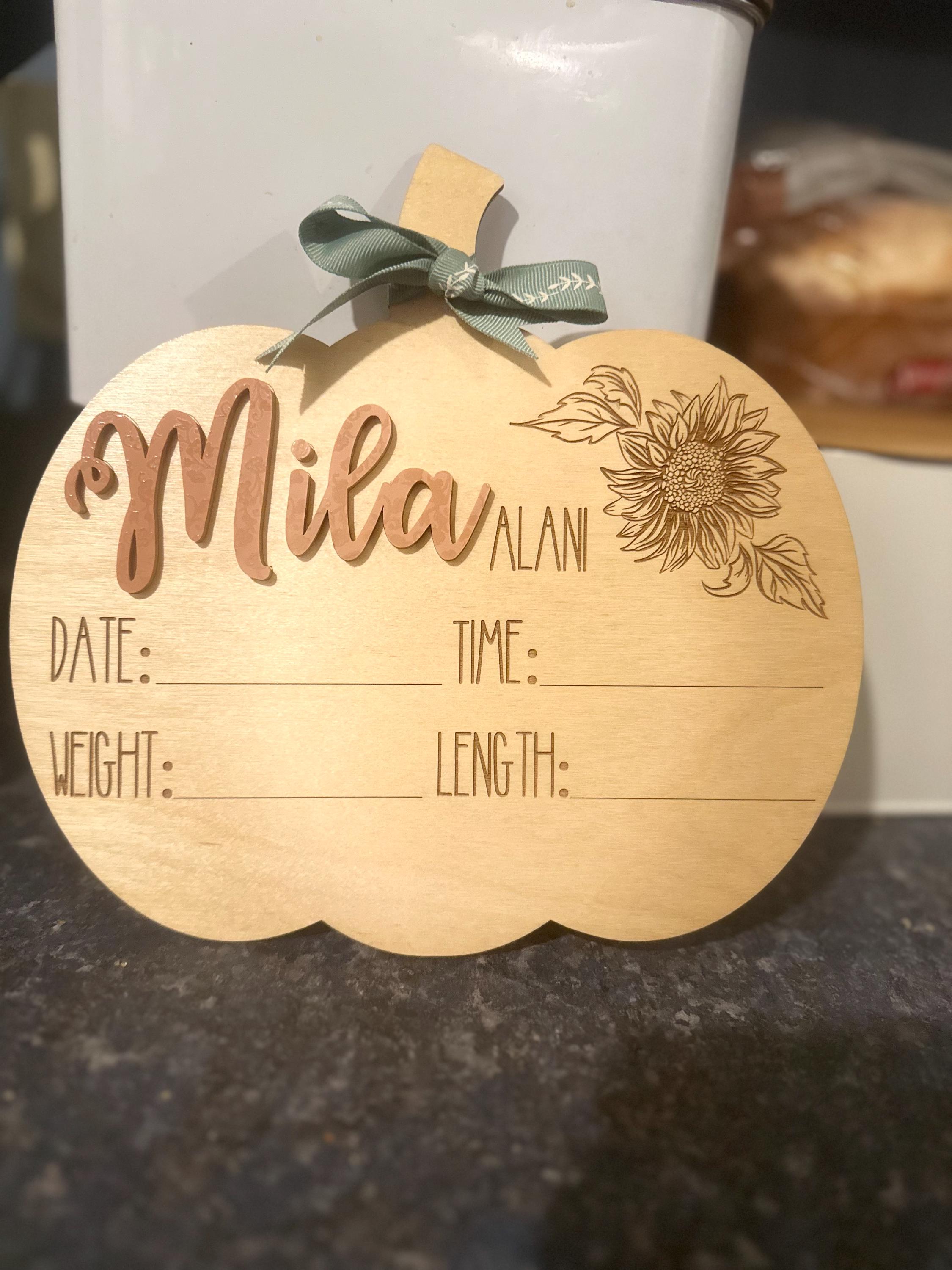 Pumpkin Birth Announcement SVG File - Etsy