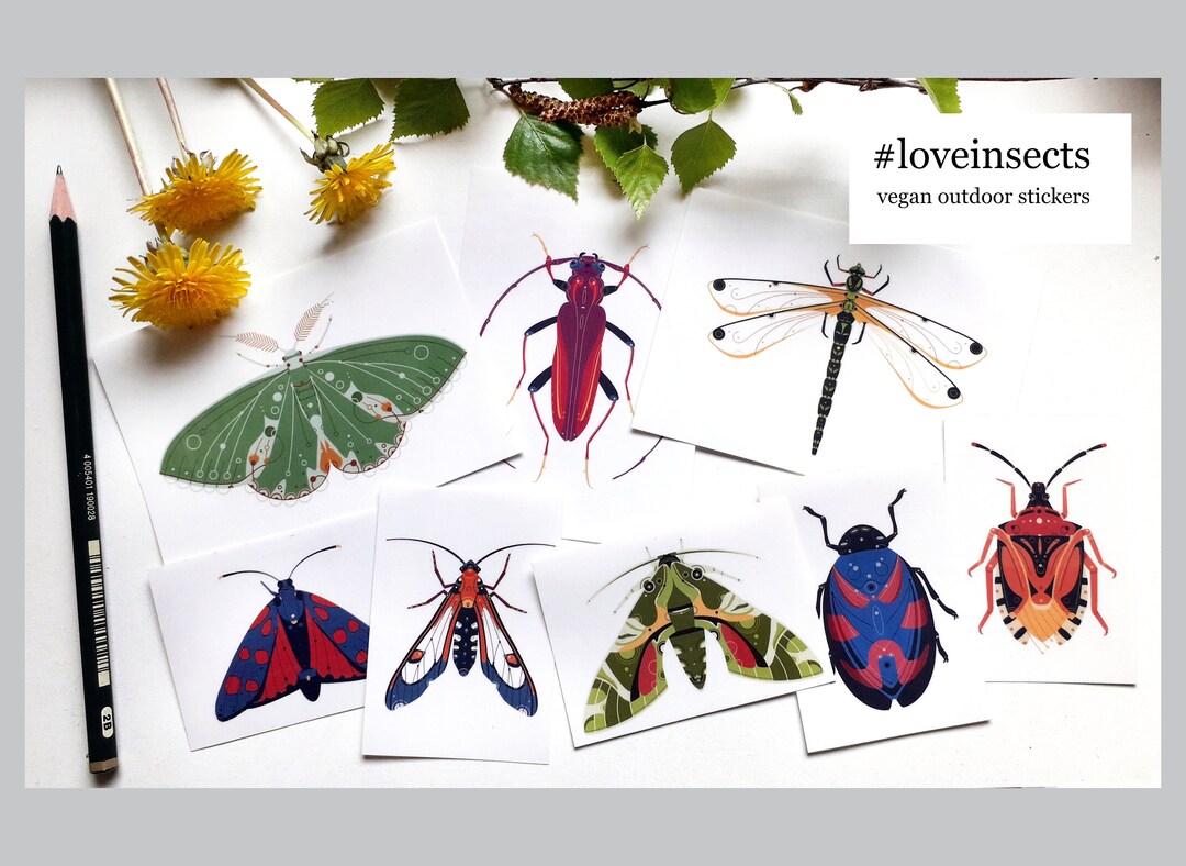 Love Insects Vegan Outdoor Stickers - Etsy