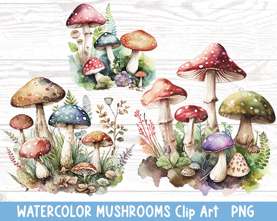 Mushroom Clipart, Mushroom Art, Forest Nature Toadstool Clip Art PNG ...