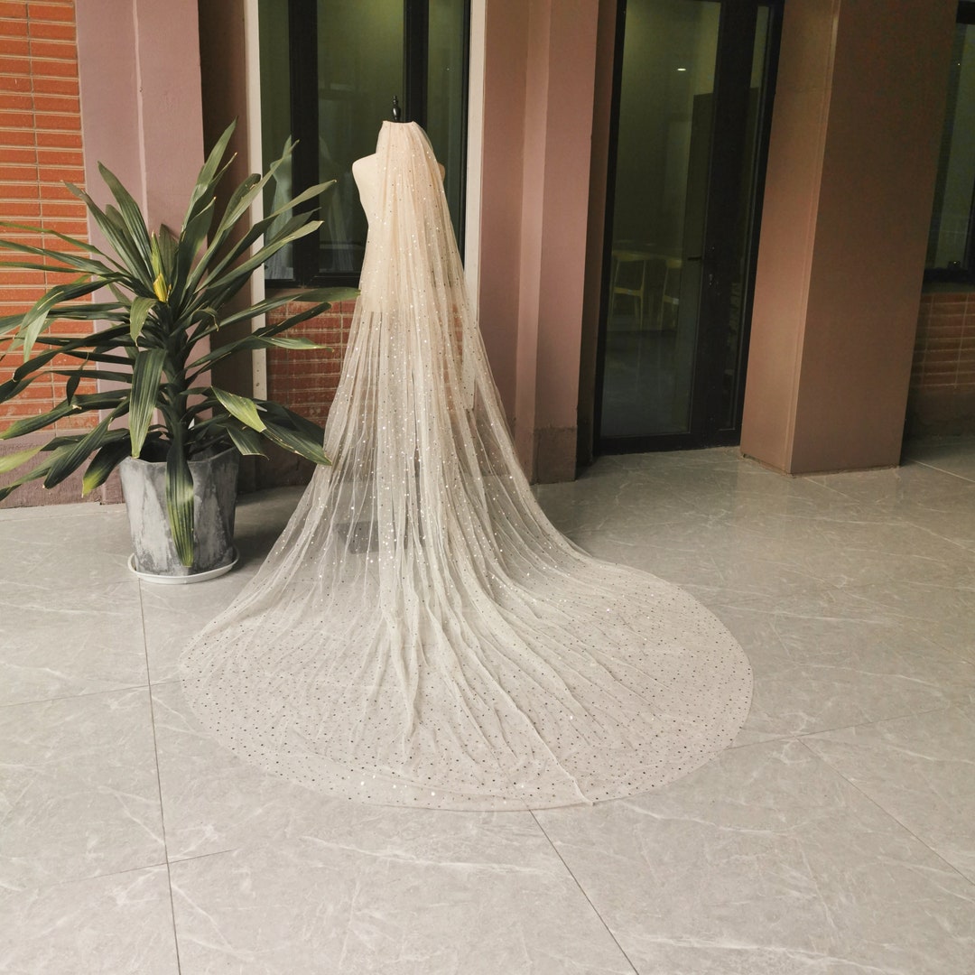 Star Moon Shiny Wedding Veil/champagne Sequins Veil Wedding Veil ...