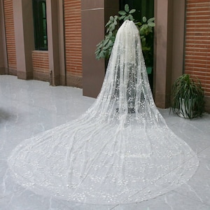 Stunning Celestial Wedding Veil/star Veil/moon Bridal Veil/ Glitter ...