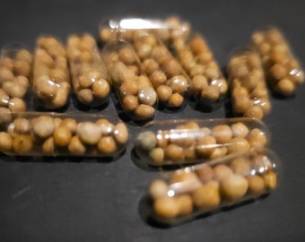 Root Fertilizer Tabs for Aquarium Plants - Etsy