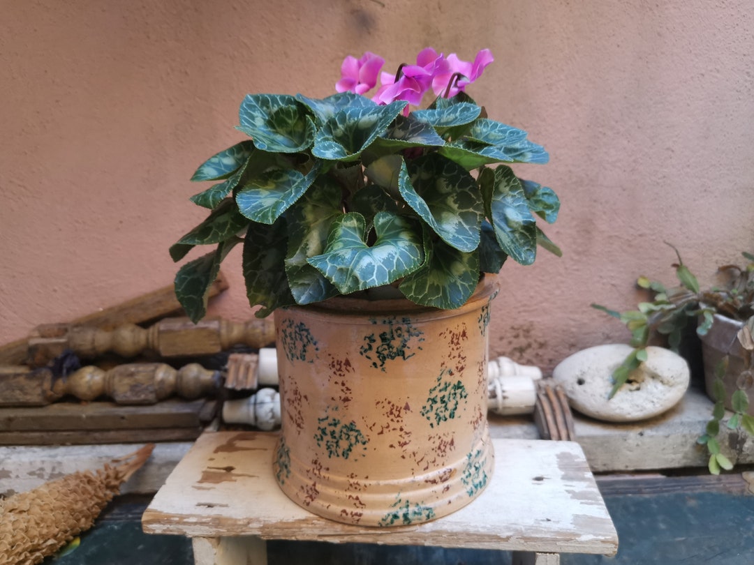 Rare, Antique Glazed Terracotta Confit Pot Dating From the Late 1800s ...