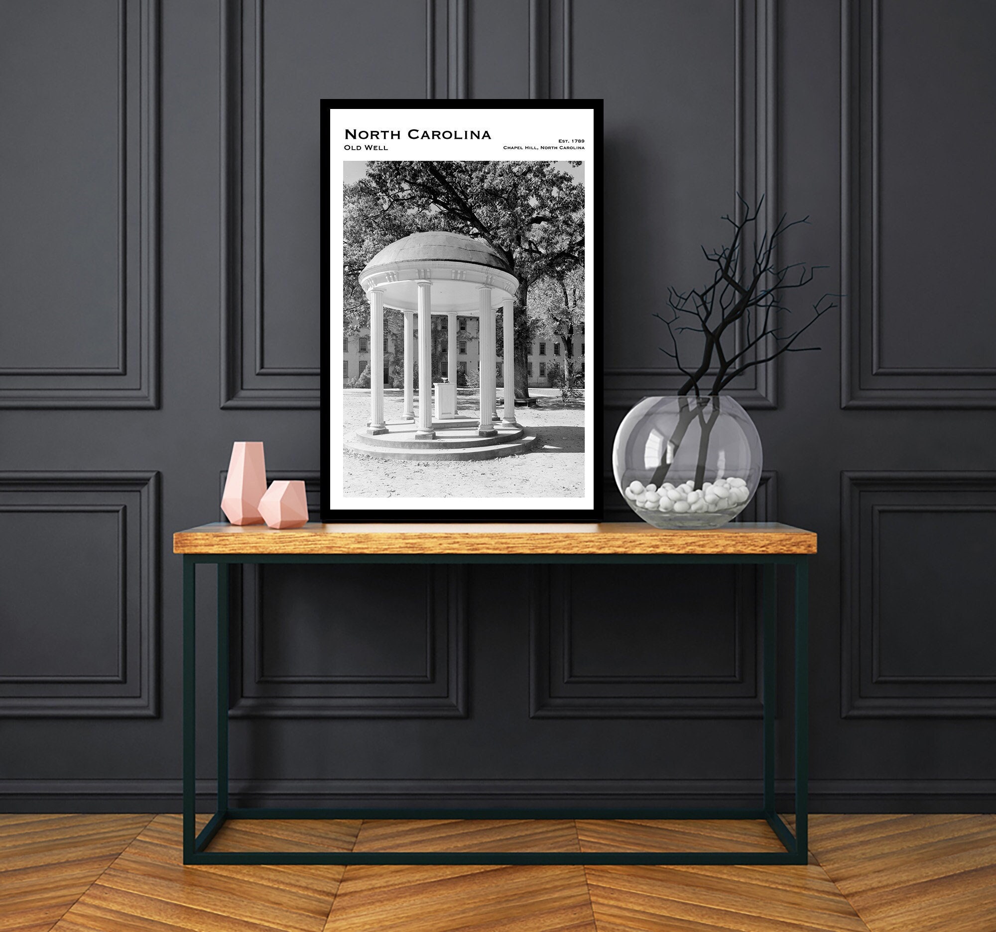 UNC Chapel Hill Old Well, 1900s Vintage Black & White Photo, University ...