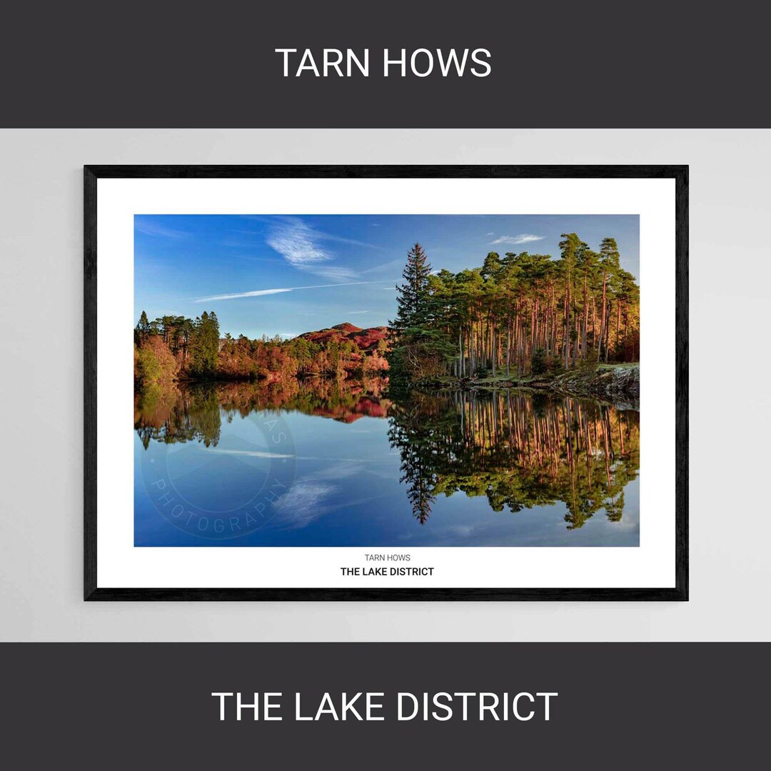 Tarn Hows Autumn Art Print: Lake District Landscape Photography - Etsy