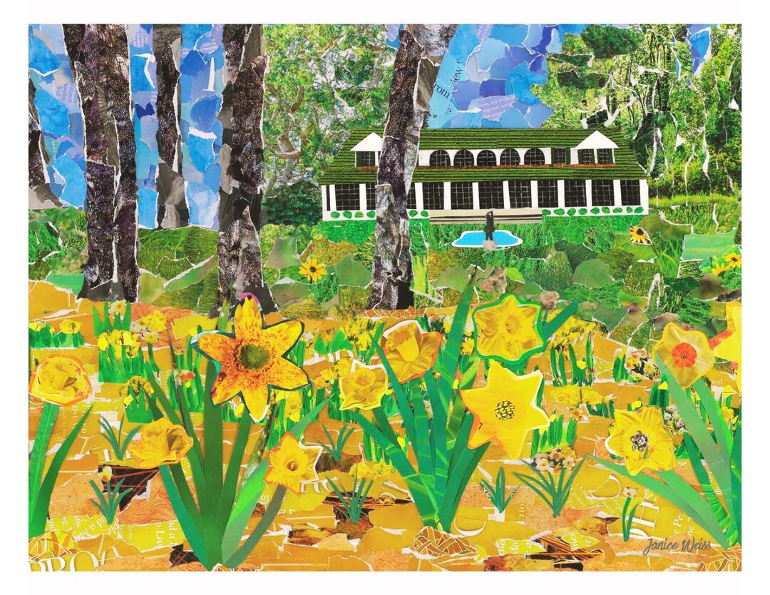 Reynolda Gardens, Daffodils, Reynolda House, Winston Salem Landmark ...