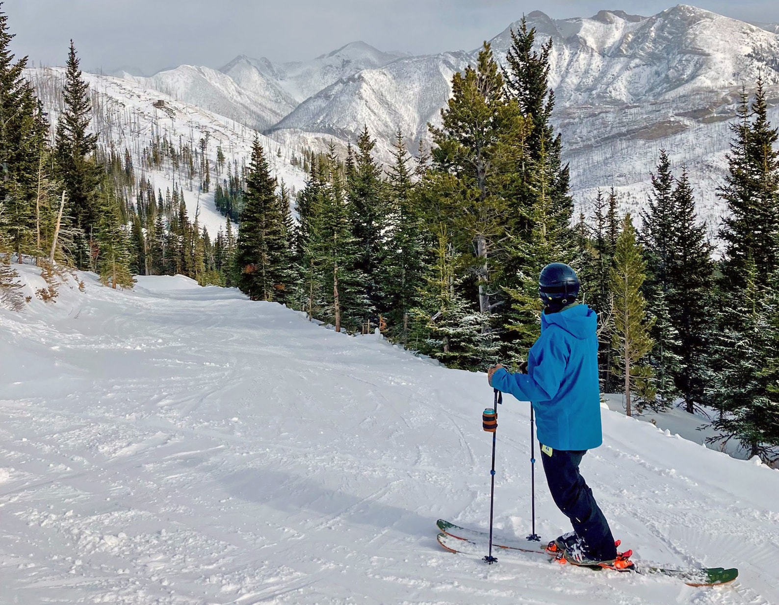 Premium Leather Ski Pole Beer Holder Beer Binding - Etsy