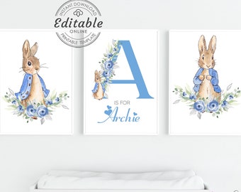 Peter Rabbit Alphabet - Etsy