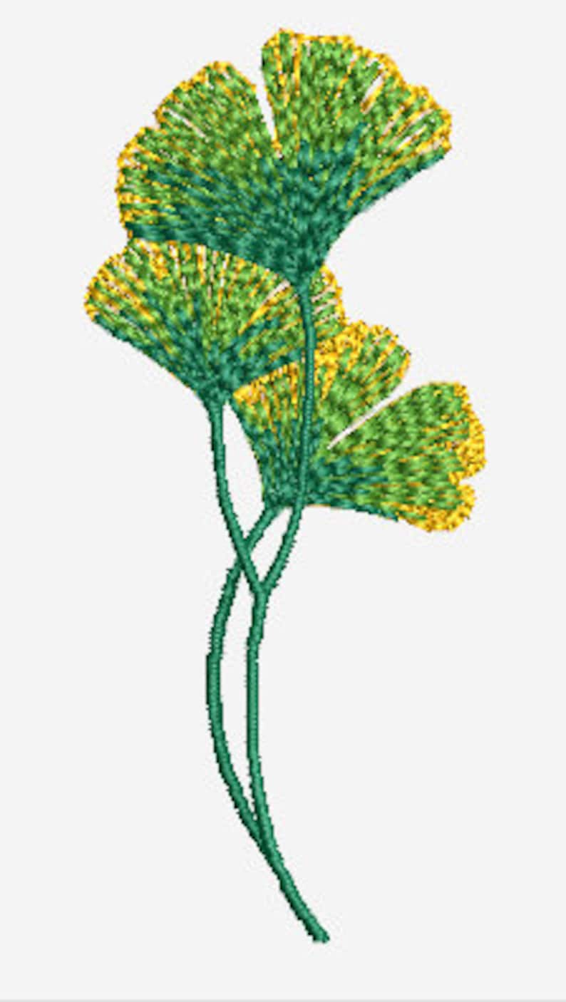 Ginko Machine Embroidery Design, 2 Sizes, Light Design, Instant ...