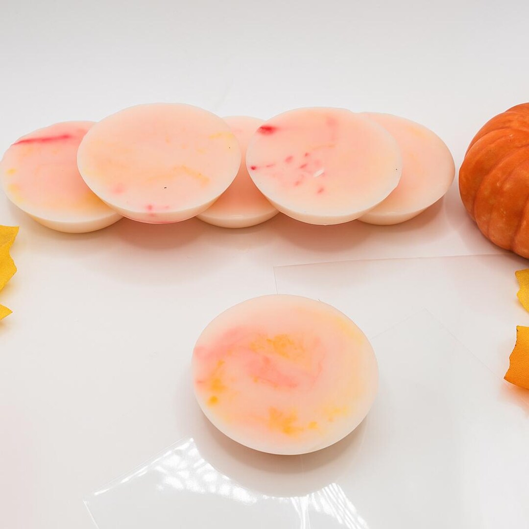 Set of 2 Scented Pucks Candied Fruits – Coconut Soy Wax, Vanilla Cherry ...