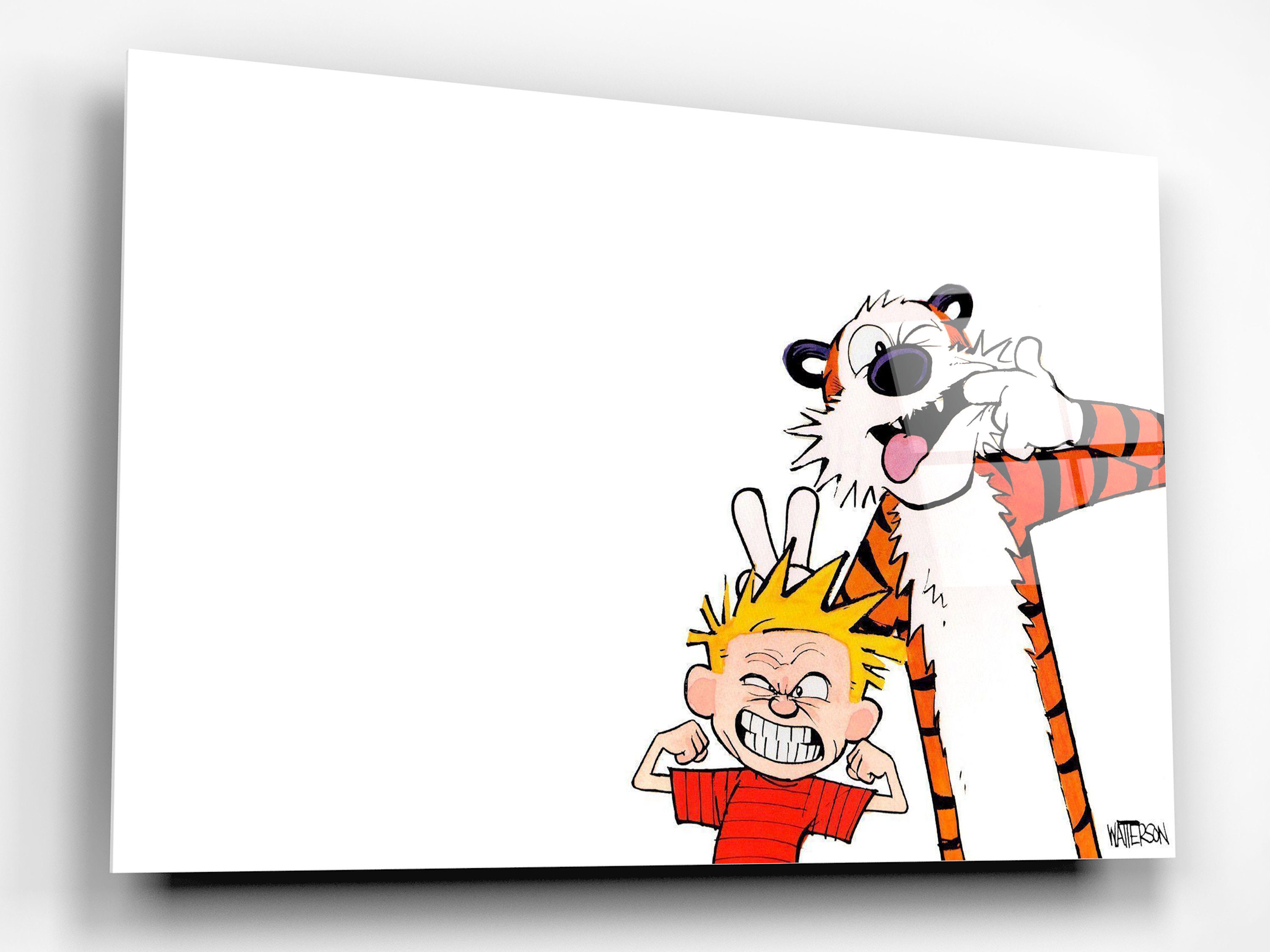 Calvin And Hobbes Birthday