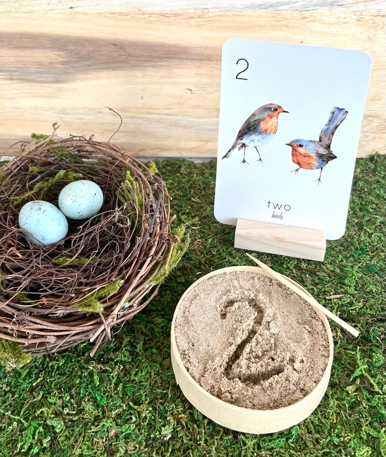Nature Themed Number Cards | Counting Flashcards | Homeschool Nature ...