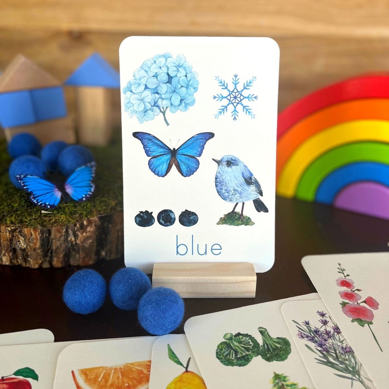 Nature Themed Color Flashcards Homeschool Nature Study - Etsy