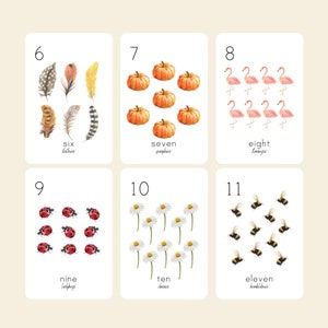 Nature Themed Number Cards | Counting Flashcards | Homeschool Nature ...