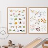 Nature Themed Alphabet Cards Homeschool Nature Study Printable ...