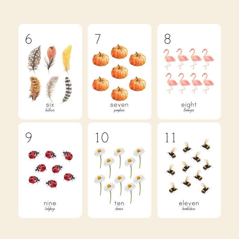 Nature Themed Number Cards | Counting Flashcards | Homeschool Nature ...