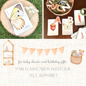 Nature Themed Alphabet Cards | Homeschool Nature Study | Printable ...