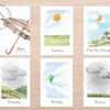 Nature Themed Alphabet Cards Homeschool Nature Study Printable ...
