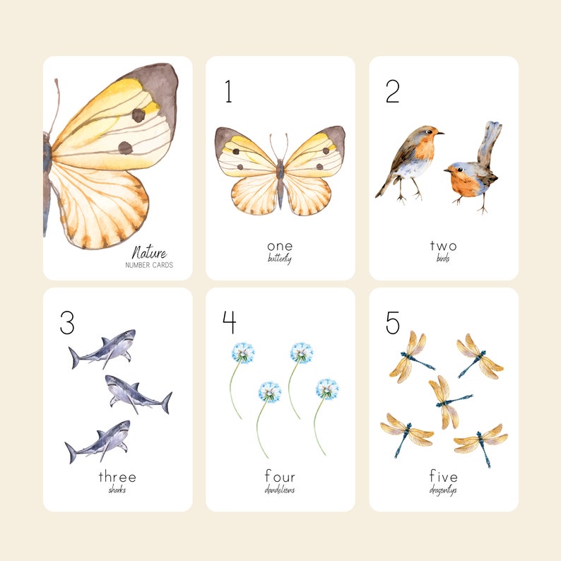 Nature Themed Number Cards | Counting Flashcards | Homeschool Nature ...