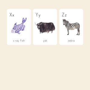 Nature Themed Alphabet Cards | Homeschool Nature Study | Printable ...