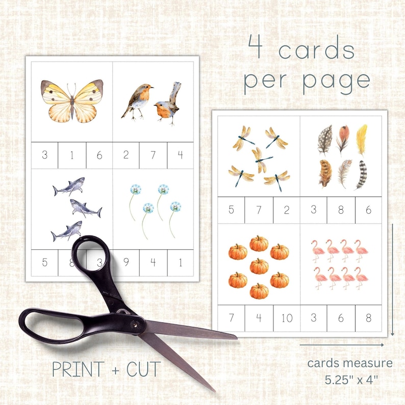 Nature Count and Clip Cards Numbers 1-20 | Montessori Toys | Montessori ...