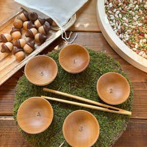 Acorn Sorting | Montessori Toys | Wooden Toys | Acorn Math Counters - Etsy