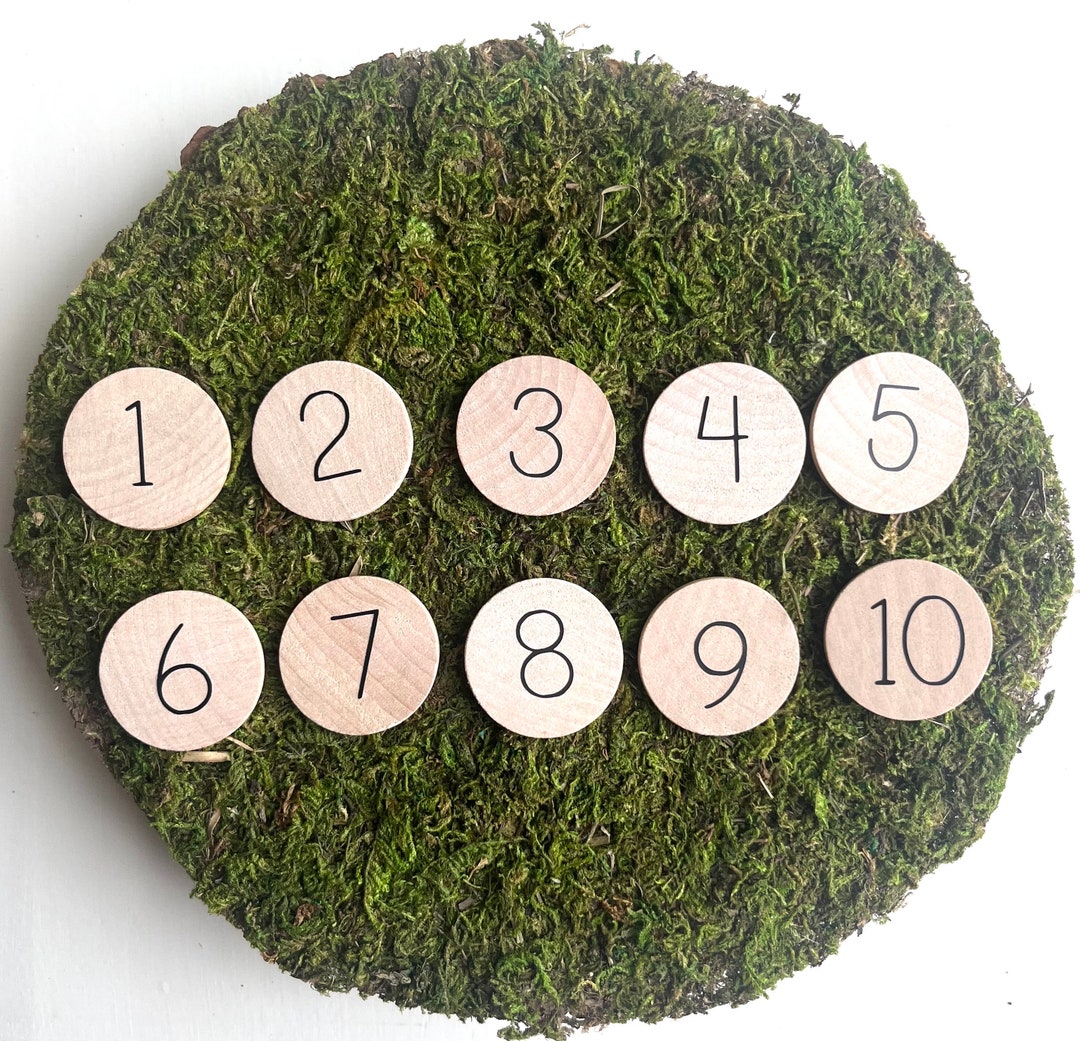 Wooden Number Coins | Montessori Math | Wooden Number Discs | Counting ...