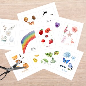 Nature Themed Color Flashcards | Homeschool Nature Study | Printable ...