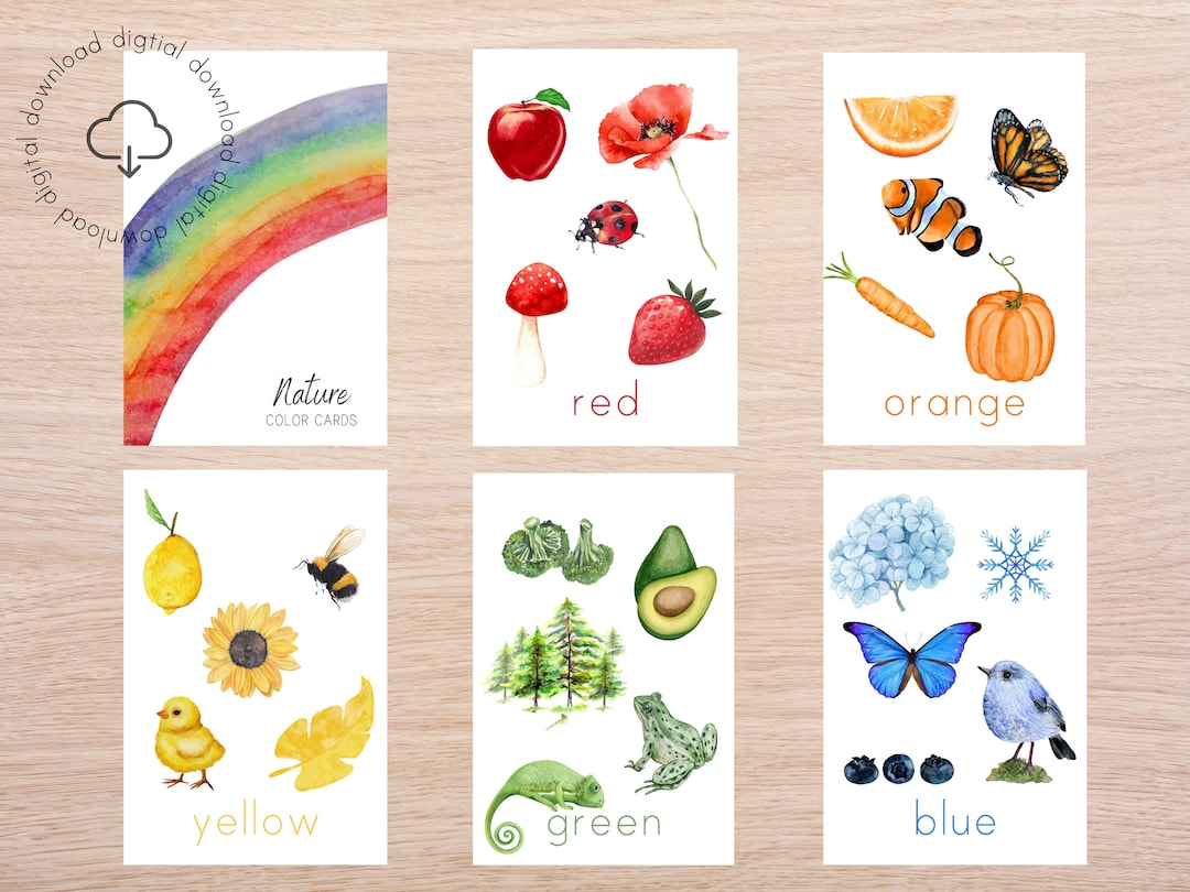 Nature Themed Color Flashcards | Homeschool Nature Study | Printable ...