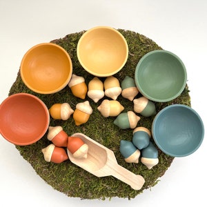 Acorn Sorting | Montessori Toys | Wooden Toys - Etsy