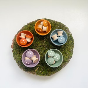 Mushroom Sorting Toy | Wooden Montessori Toy | Montessori Toddler ...