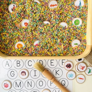 Alphabet Pictures Sensory Play Kit | Alphabet Matching Game | Sensory ...