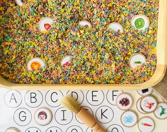 Alphabet Pictures Sensory Play Kit | Alphabet Matching Game | Sensory ...