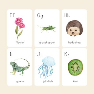 Nature Themed Alphabet Cards | Homeschool Nature Study | Printable ...