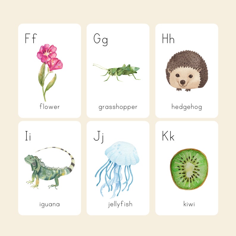 Nature Themed Alphabet Cards Homeschool Nature Study - Etsy