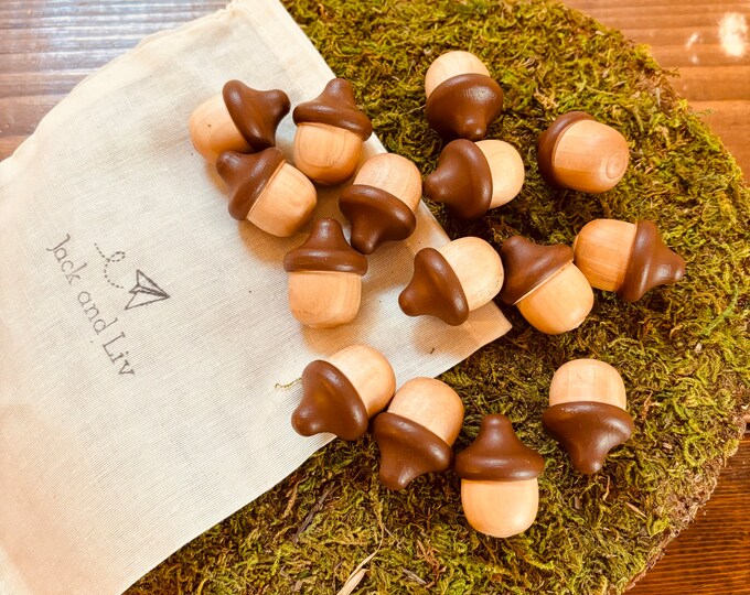 Acorn Sorting | Montessori Toys | Wooden Toys | Acorn Math Counters - Etsy