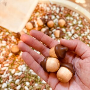 Acorn Sorting | Montessori Toys | Wooden Toys | Acorn Math Counters - Etsy