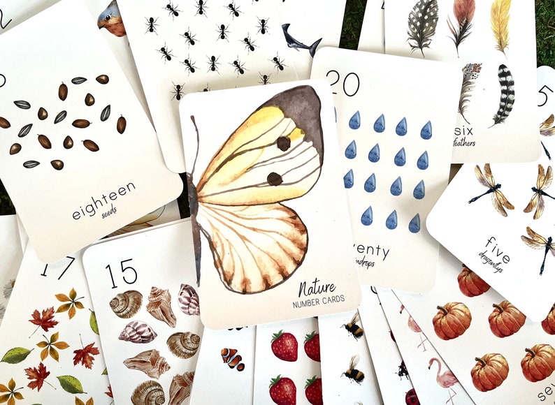 Nature Themed Number Cards | Counting Flashcards | Homeschool Nature ...
