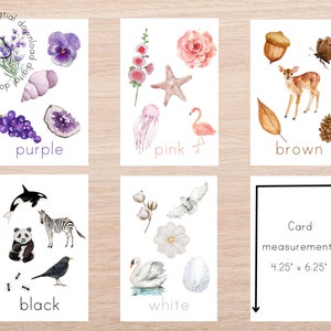 Nature Themed Color Flashcards | Homeschool Nature Study | Printable ...