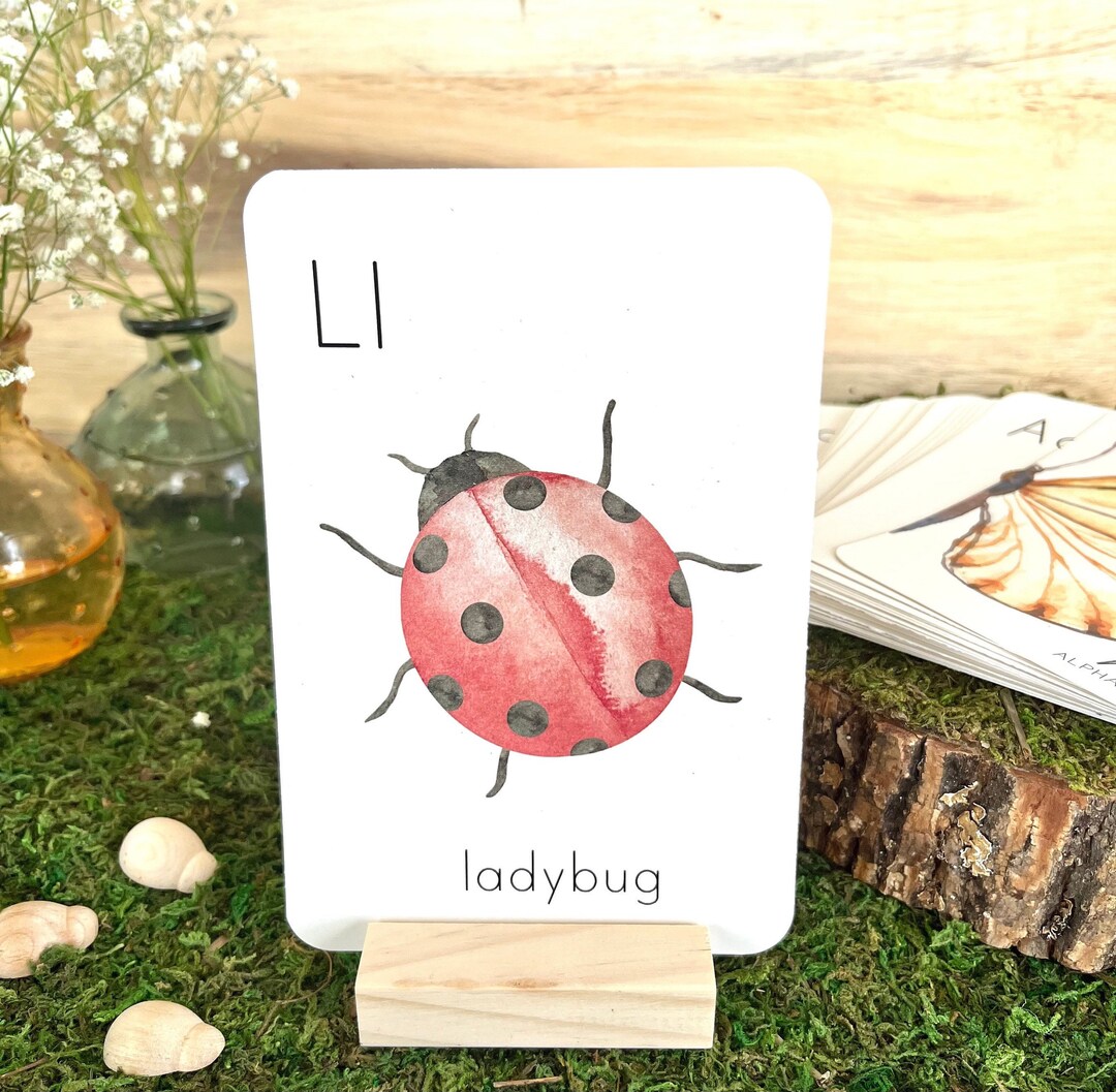 Nature Themed Alphabet Cards Homeschool Nature Study - Etsy