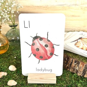 Nature Themed Alphabet Cards | Homeschool Nature Study | Printable ...