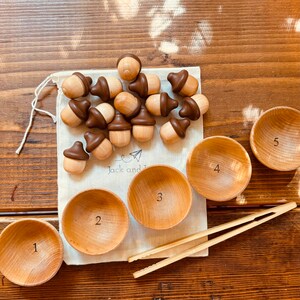 Acorn Sorting | Montessori Toys | Wooden Toys | Acorn Math Counters - Etsy